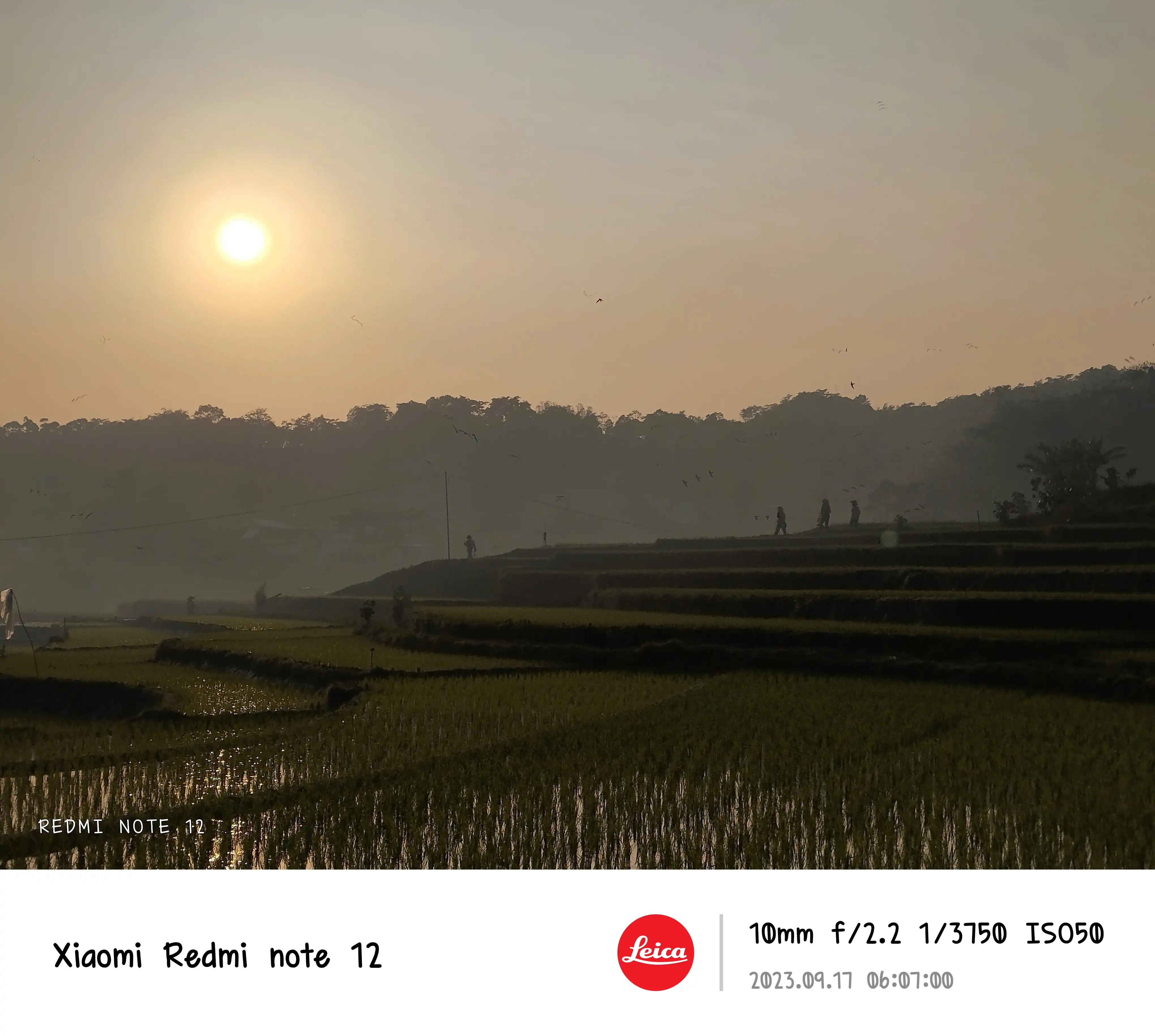 Xiaomi Community